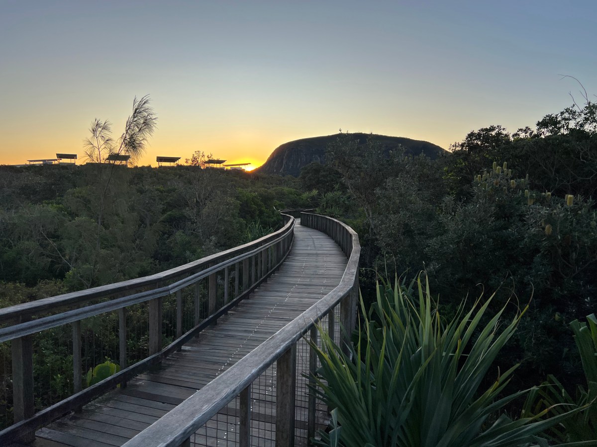 Australia – Qld, Sunshine Coast, Mt Coolum | Physio my way